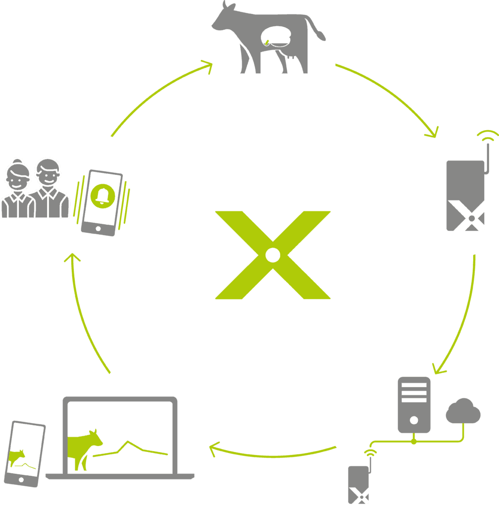 Revolutionary dairy cattle monitoring - a focus on bolus technology