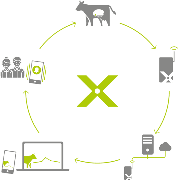 Revolutionary dairy cattle monitoring - a focus on bolus technology